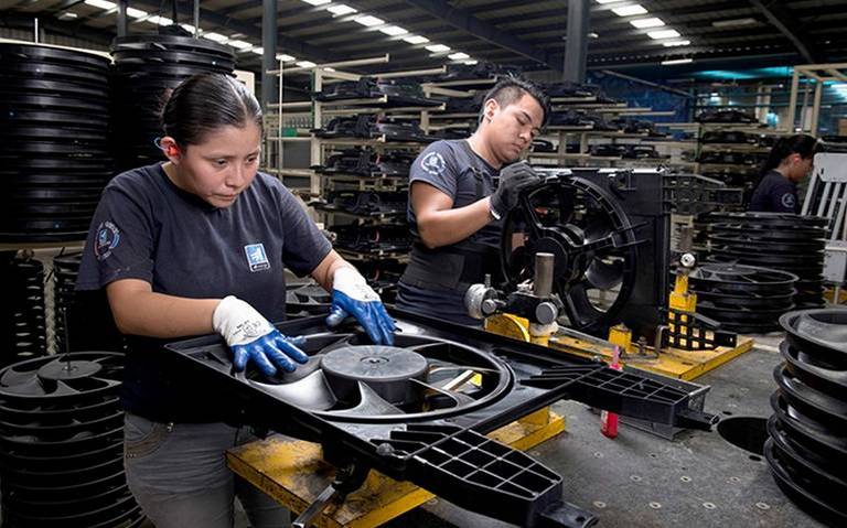 México, rezagado en productividad e informalidad: OCDE - Portico MX